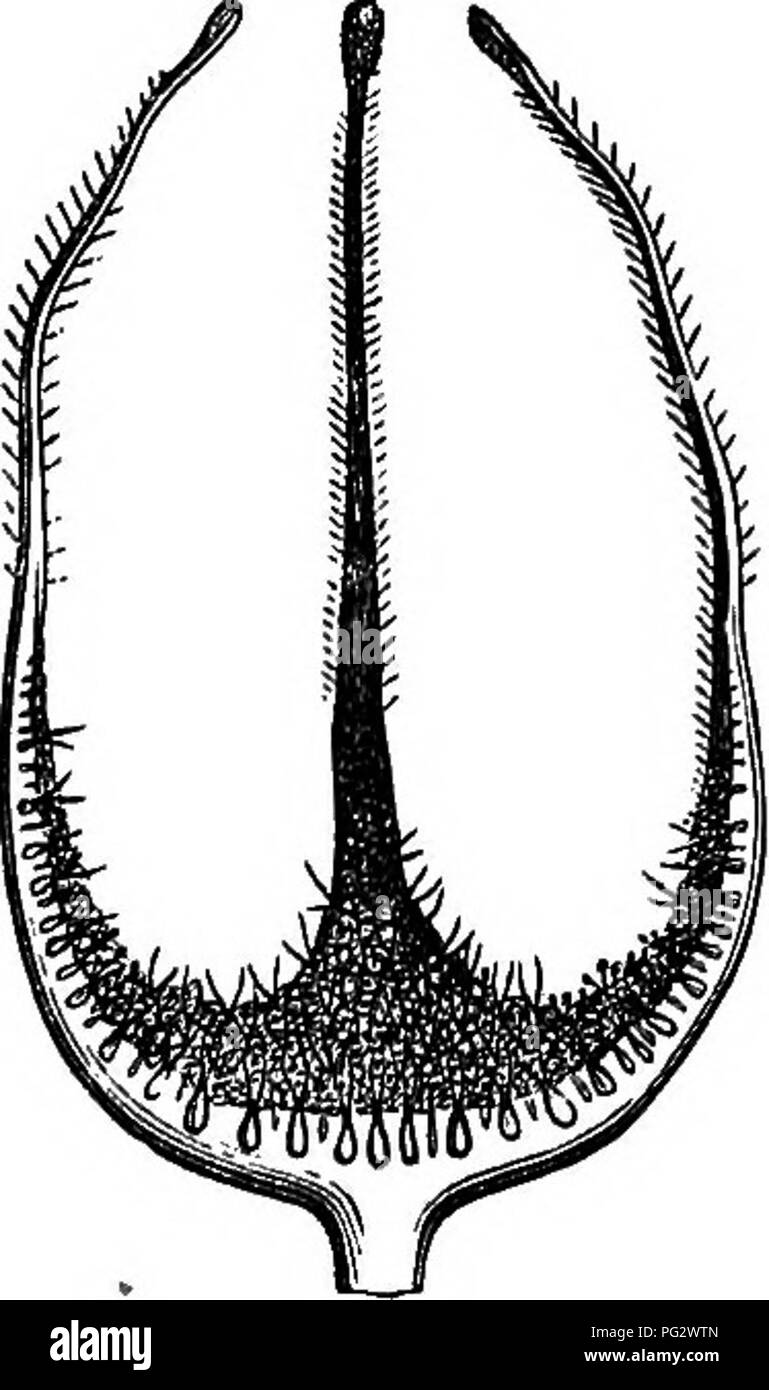 Terminal sur Black and White Stock Photos & Images - Alamy