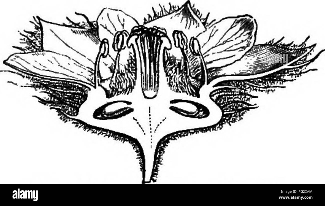 Decomp hi-res stock photography and images - Alamy