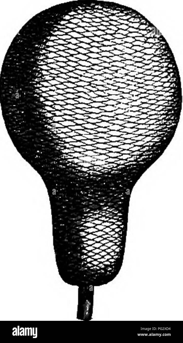 . The natural history of plants. Botany. LEGUMINOaJE-MIMOBEM. 36 and 2 ...