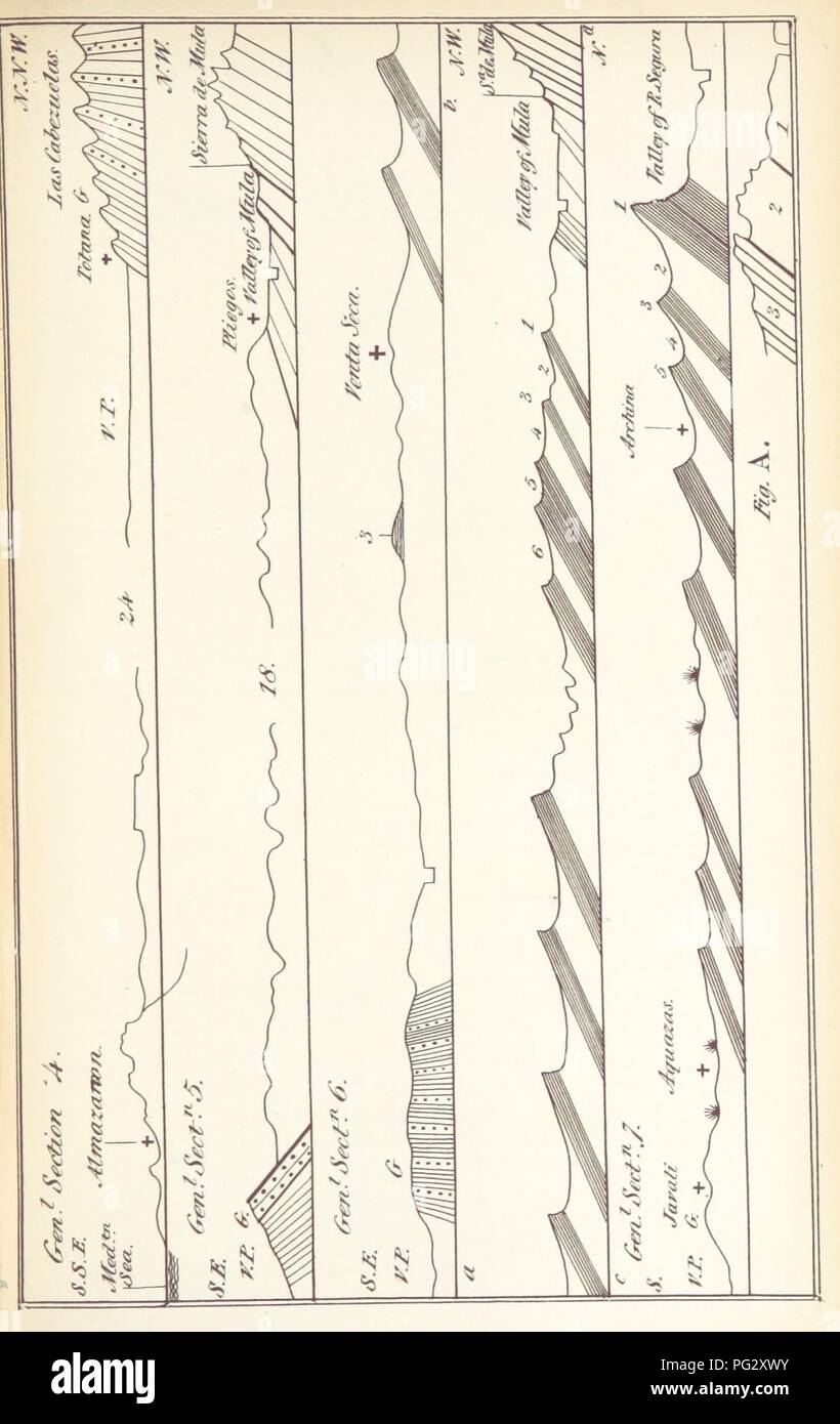 Image from page 253 of 'A Geological Sketch of the Tertiary Formation ...