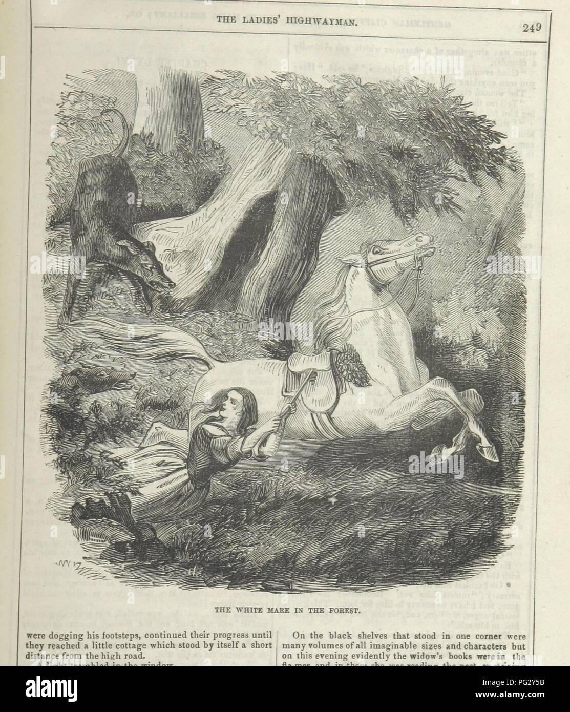 Image from page 259 of 'Gentleman Clifford, and his White Mare ...