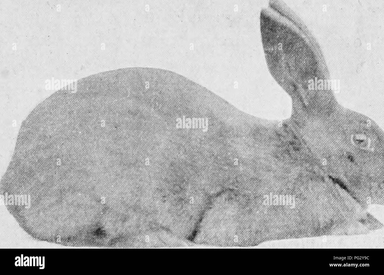 Los angeles the standard Black and White Stock Photos & Images - Alamy