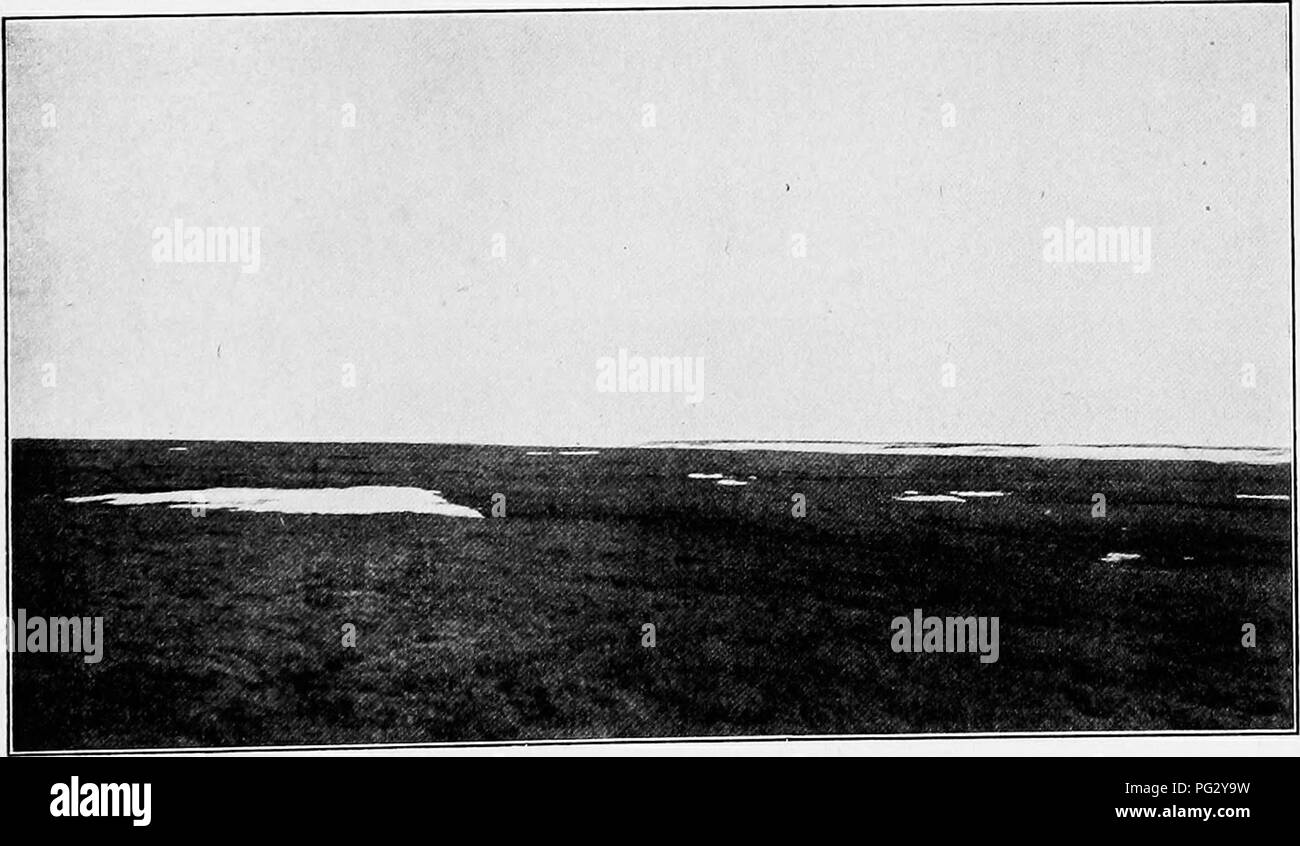 This report from the Canadian Arctic Expedition (1913-1918) describes ...