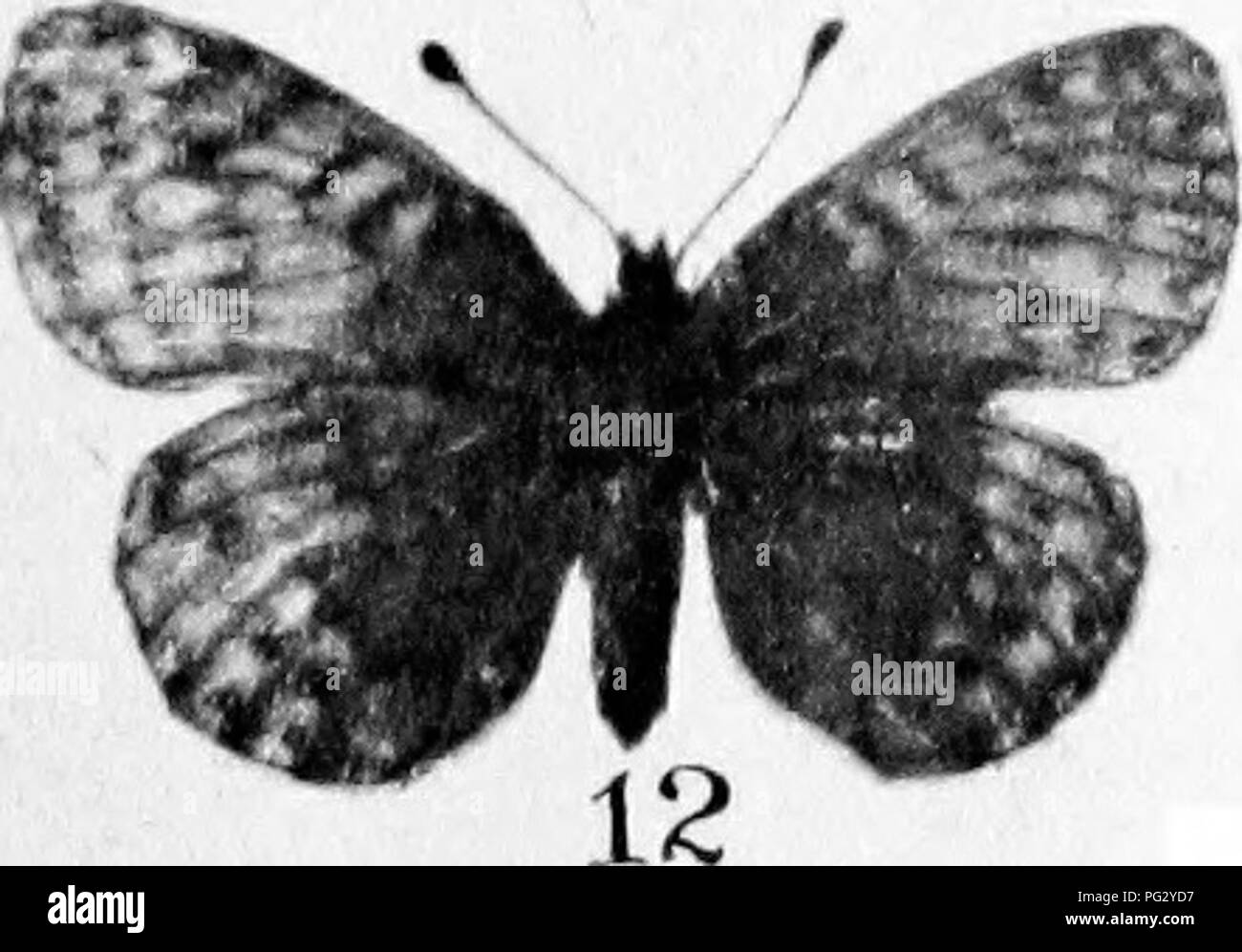 Team enhanced Black and White Stock Photos & Images - Alamy