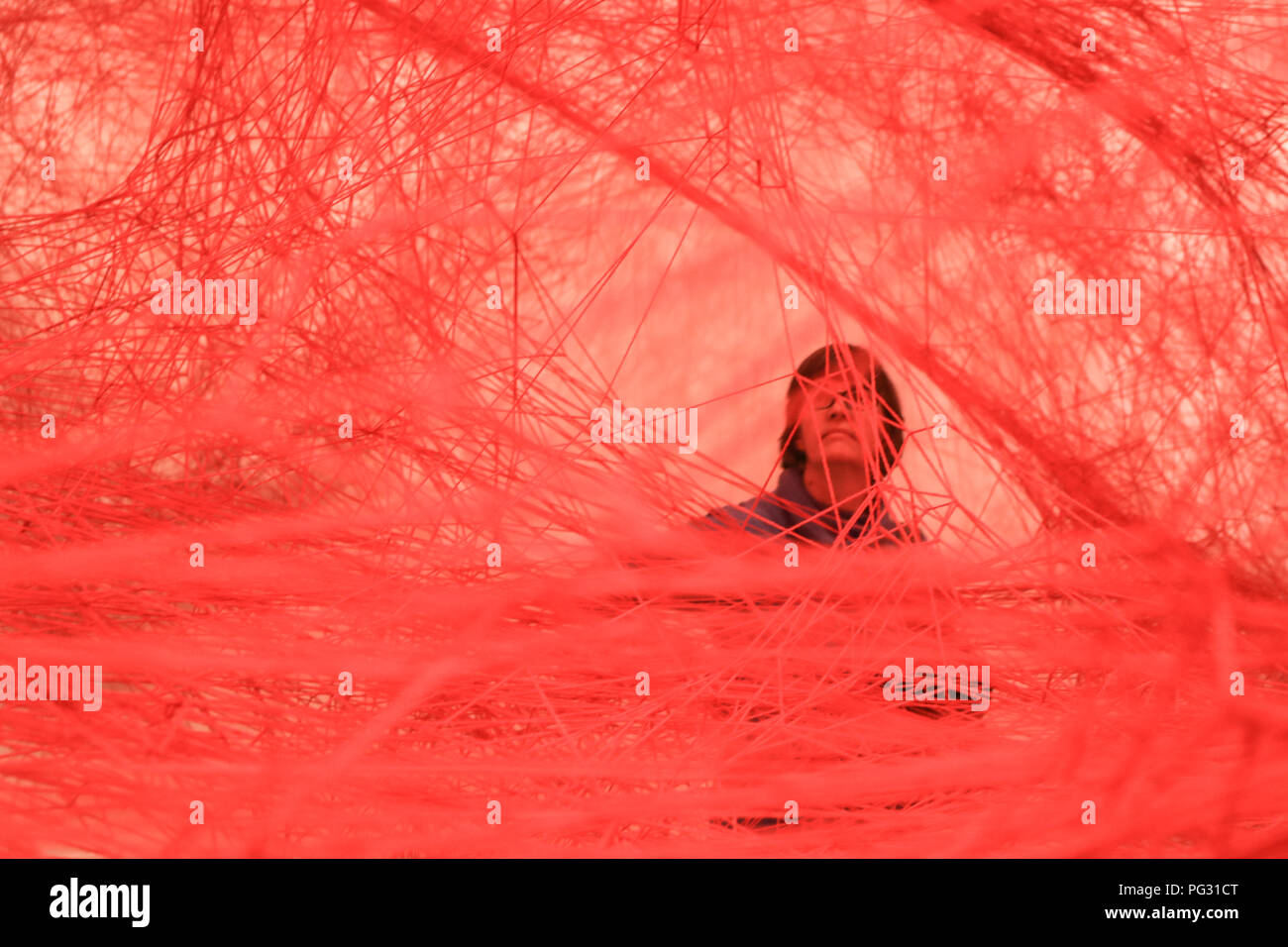 Art installation made from wool hi-res stock photography and images - Alamy