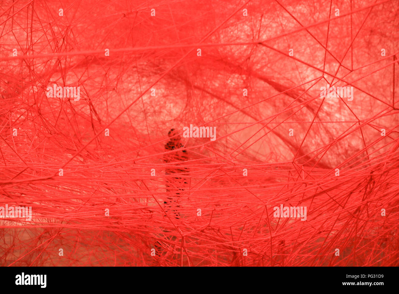 Art installation made from wool hi-res stock photography and images - Alamy