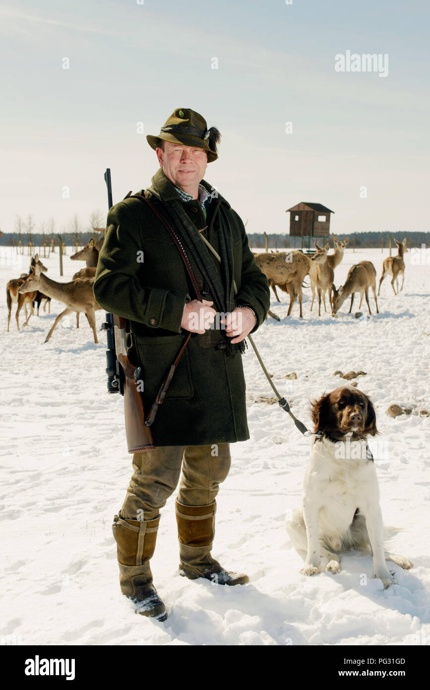 Dog chase deer hi-res stock photography and images - Alamy