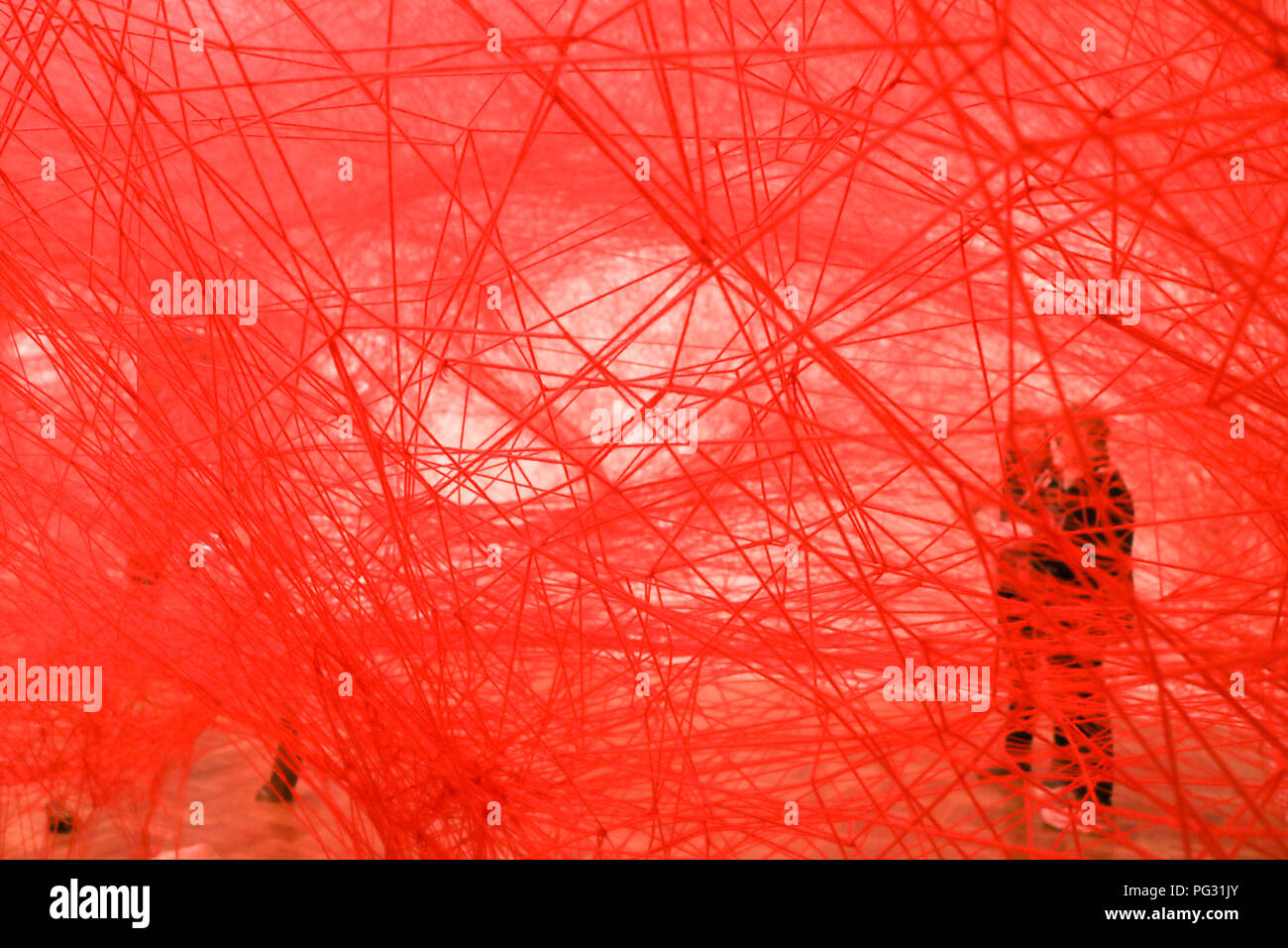 Art installation made from wool hi-res stock photography and images - Alamy