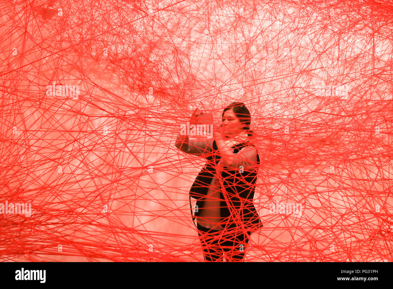 Art installation made from wool hi-res stock photography and images - Alamy