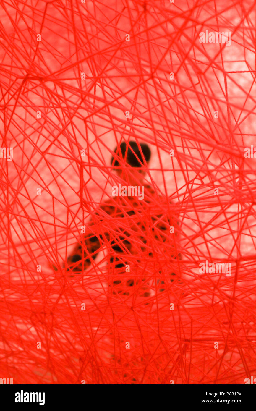 Art installation made from wool hi-res stock photography and images - Alamy