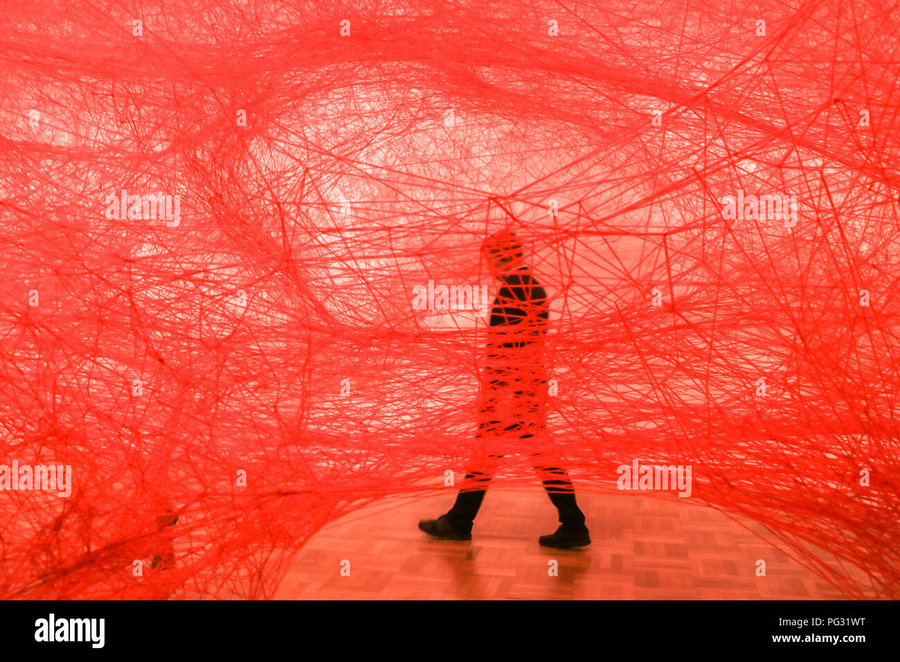 Adelaide, Australia. 23rd Aug, 2018. A Large Scale installation by ...