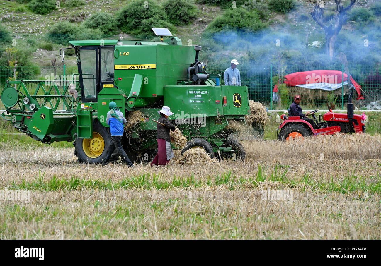 Lhasa, China's Tibet Autonomous Region. 22nd Aug, 2018. Farmers work in ...