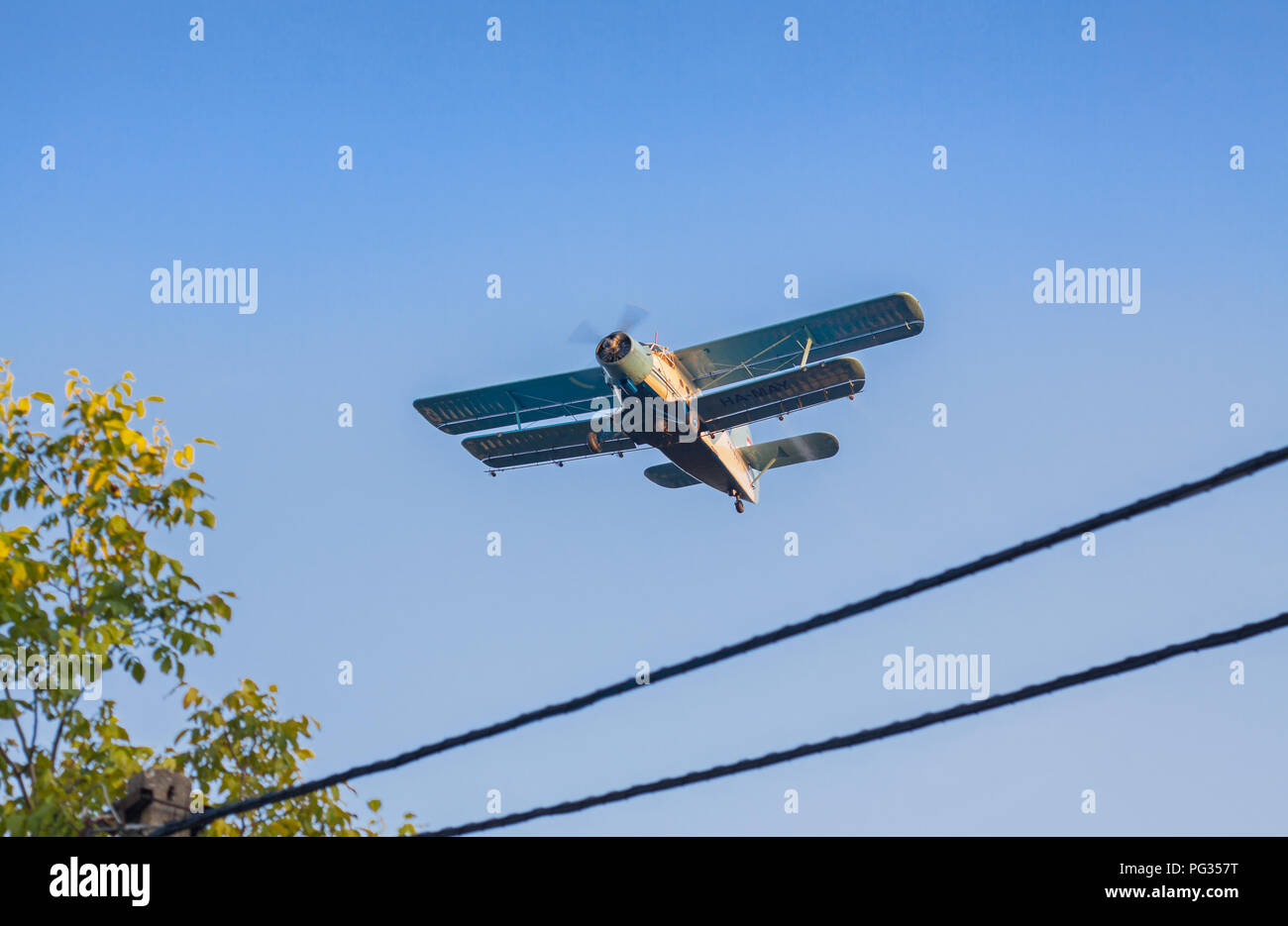 Double winged hi-res stock photography and images - Alamy