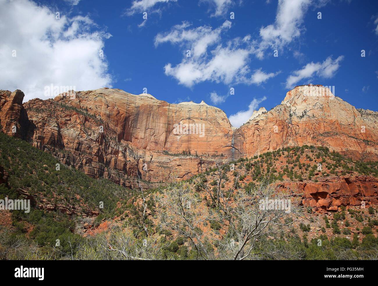 March 25, 2018 - Springdale, Utah, USA - A scene from Zion National ...
