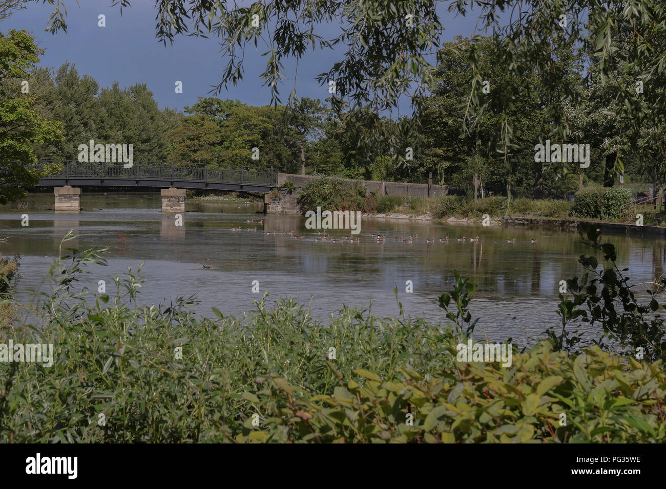 Victoria park belfast hi-res stock photography and images - Alamy