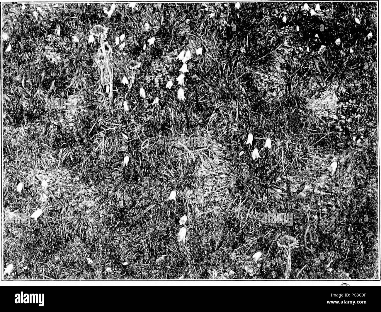 Char areas hi-res stock photography and images - Alamy