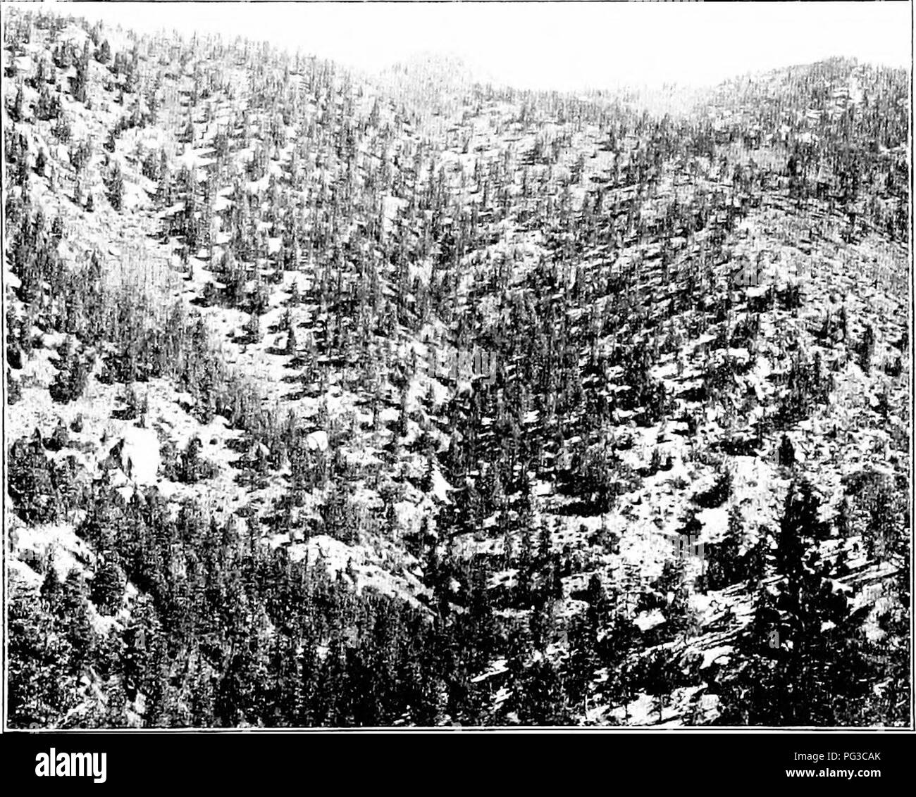 A detailed guide to ecological research methods, with a focus on plant ...