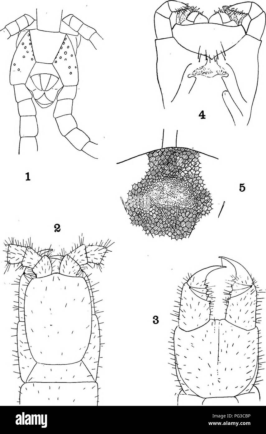 Crt 1 Black and White Stock Photos & Images - Alamy