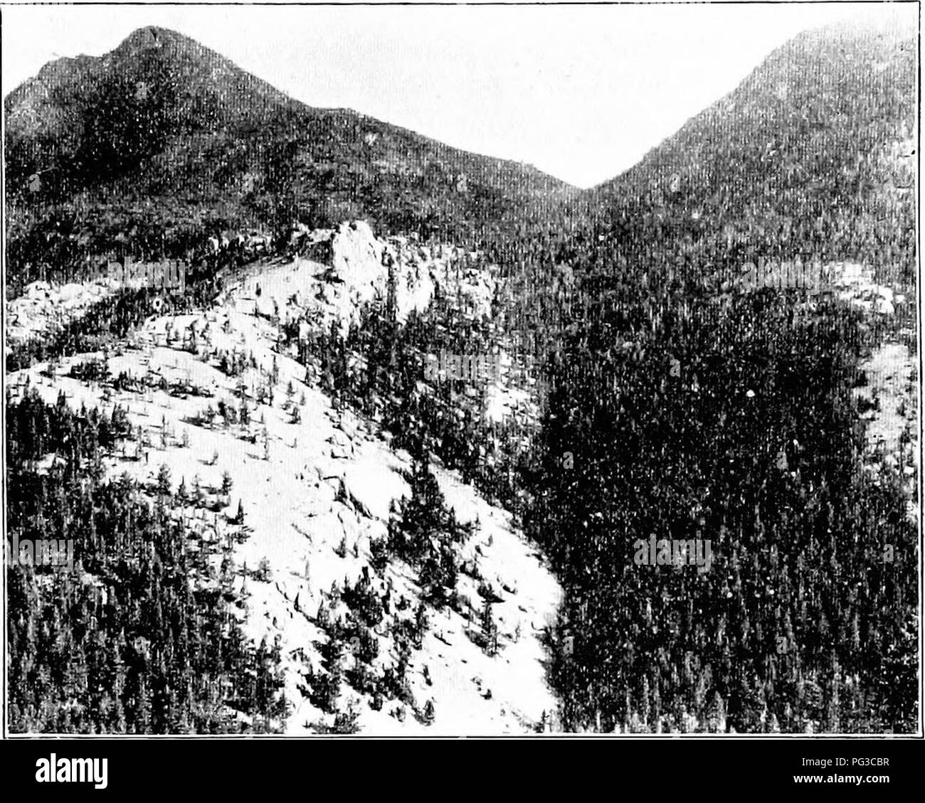 Quadrats to study hi-res stock photography and images - Alamy