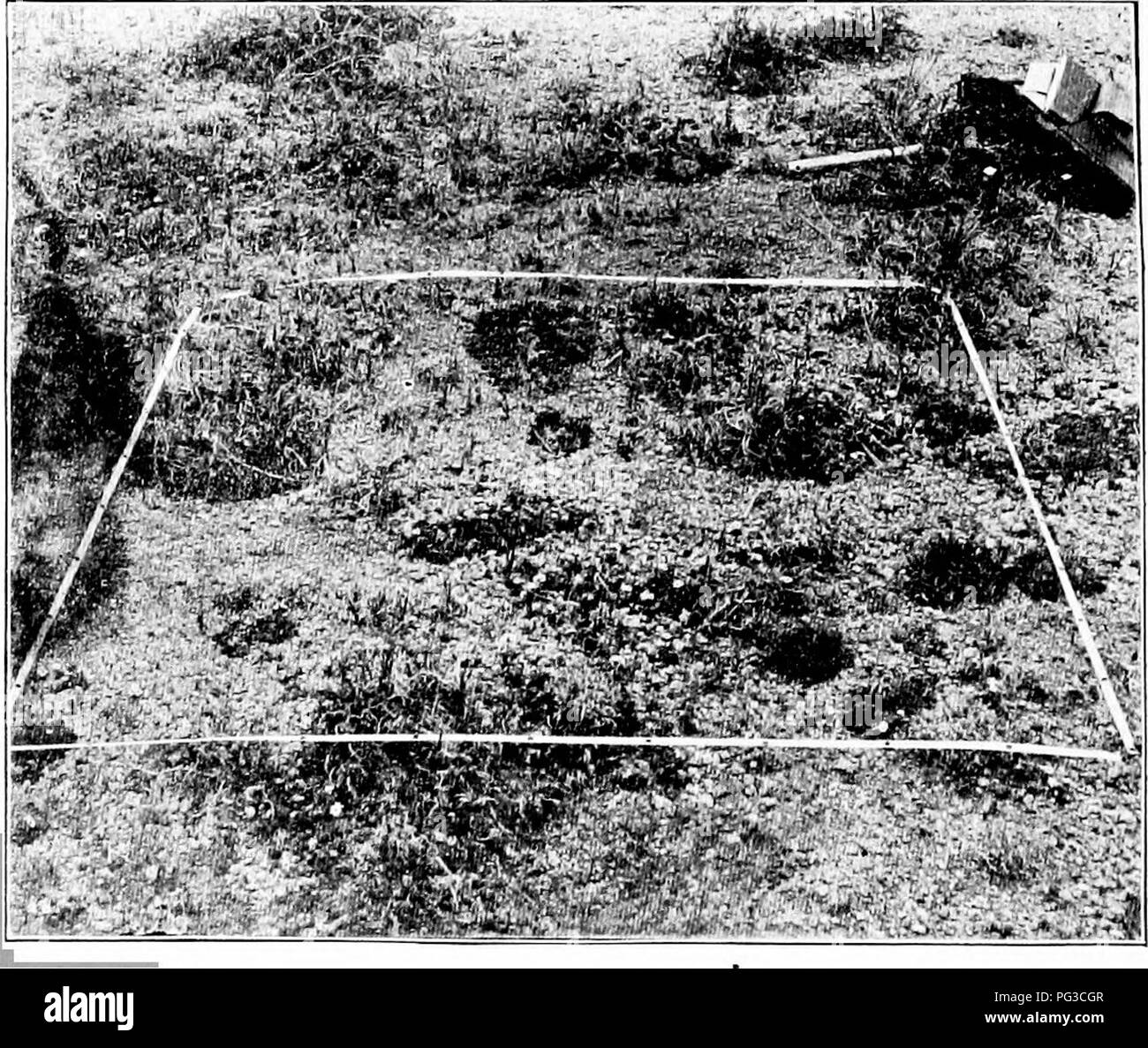 Quadrat ecology hi-res stock photography and images - Alamy