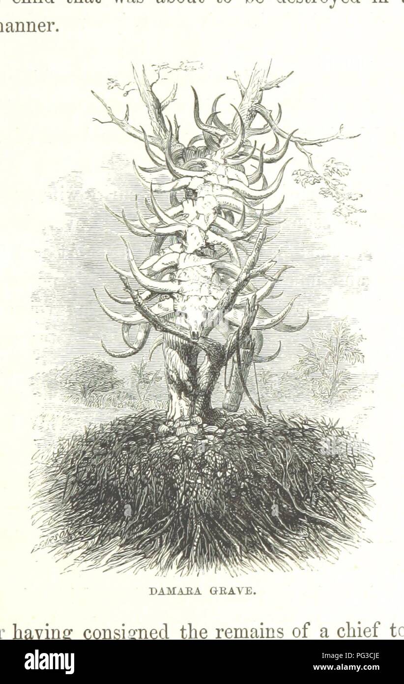 Image from page 265 of 'Lake Ngami; or, Explorations and discoveries ...