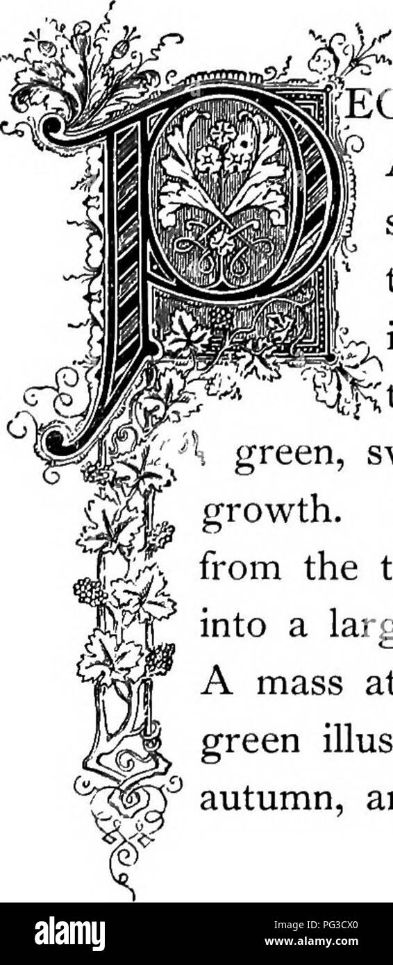 Stems without flowers Black and White Stock Photos & Images - Alamy