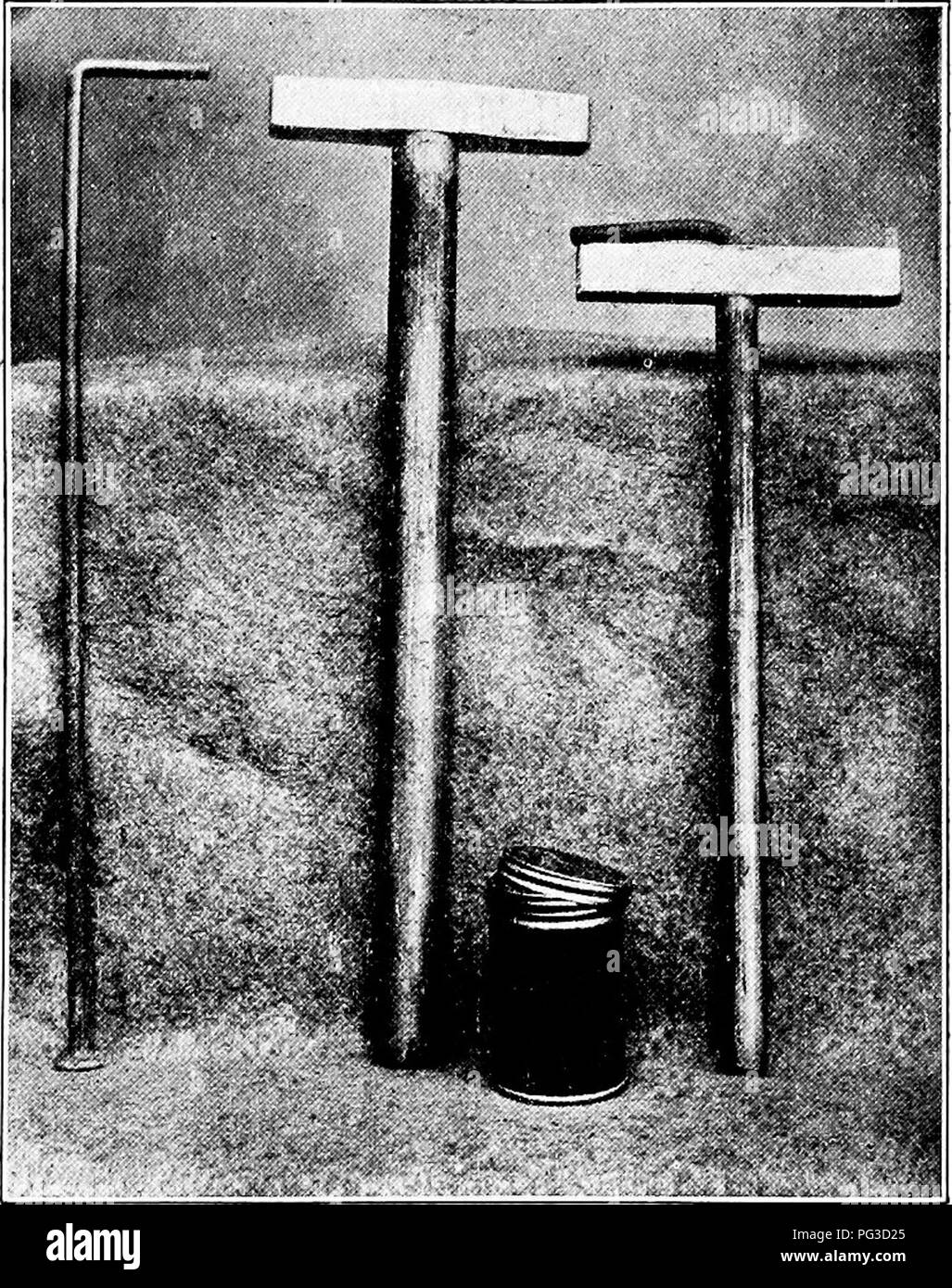 Fundamental ecology hi-res stock photography and images - Alamy