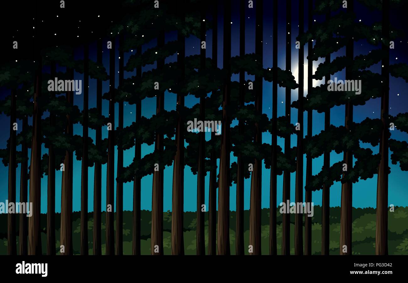 Forest at night scene illustration Stock Vector Image & Art - Alamy