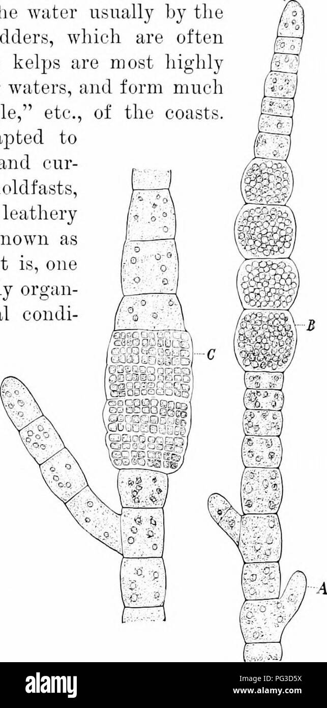 Floating root in the air Black and White Stock Photos & Images - Alamy