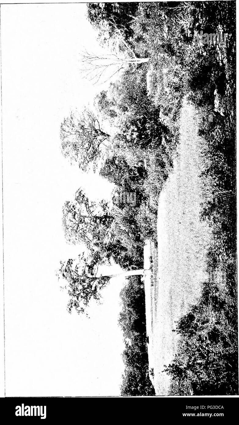 This introductory text on botany covers basic plant biology, including ...