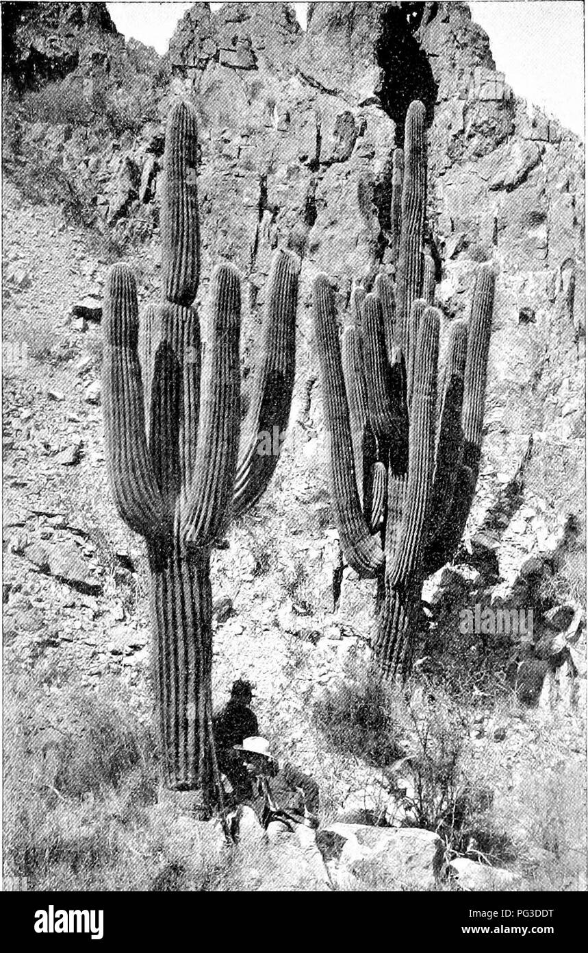 Giant l Black and White Stock Photos & Images - Alamy