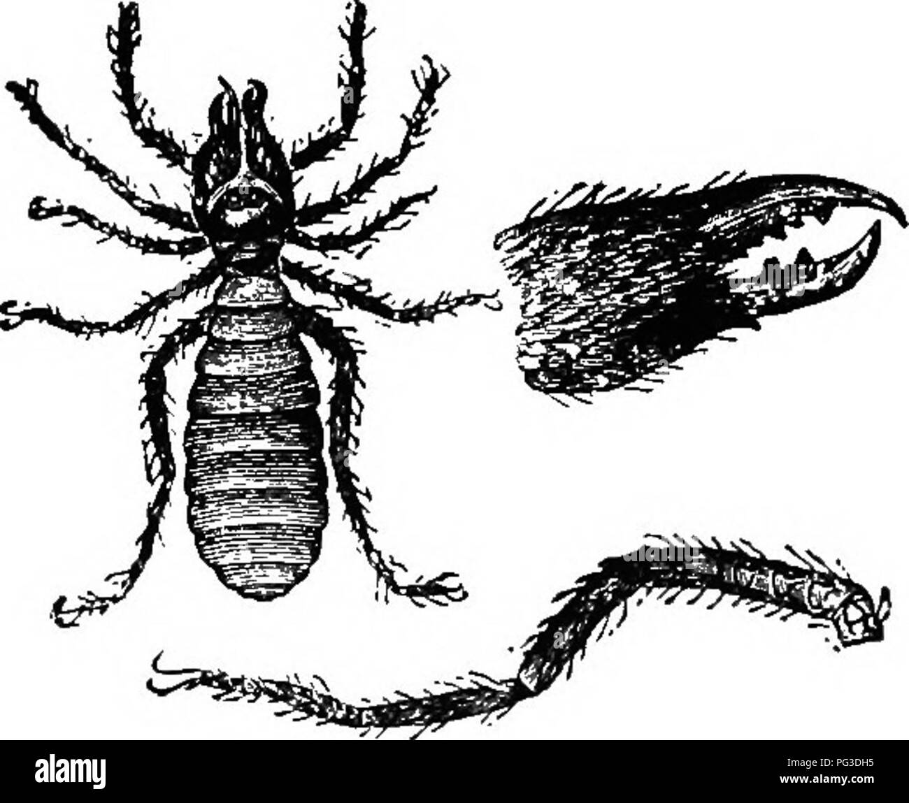 This guide provides in-depth information about the anatomy and behavior ...
