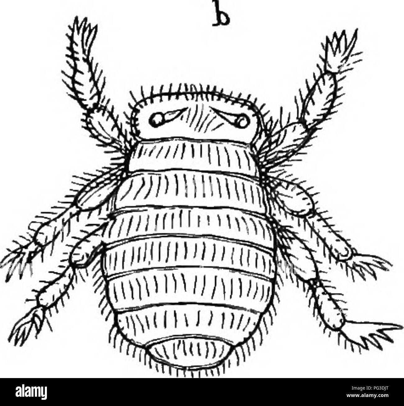 This manual provides in-depth guidance on bee-keeping, including the ...