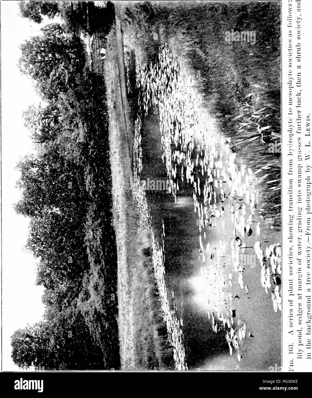 This Textbook Provides An Introductory Guide To Botany Focusing On Plant Structures