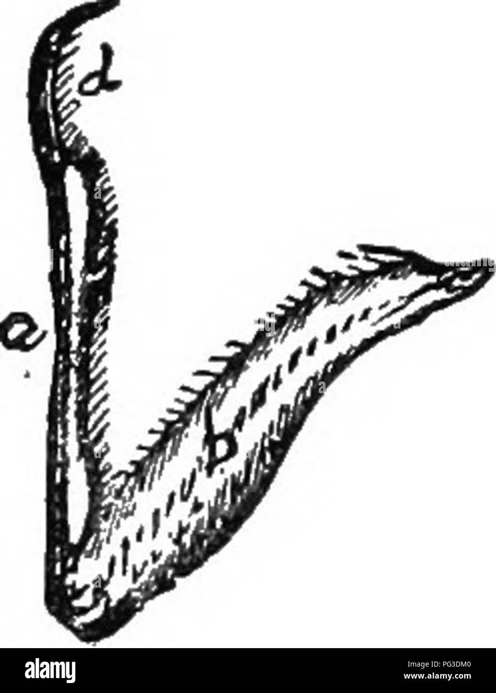 This guide provides detailed instructions on beekeeping and apiary ...