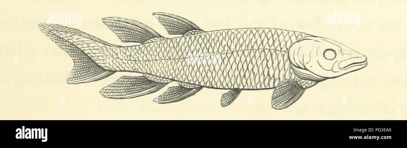 Siluria history oldest known rocks hi-res stock photography and images ...