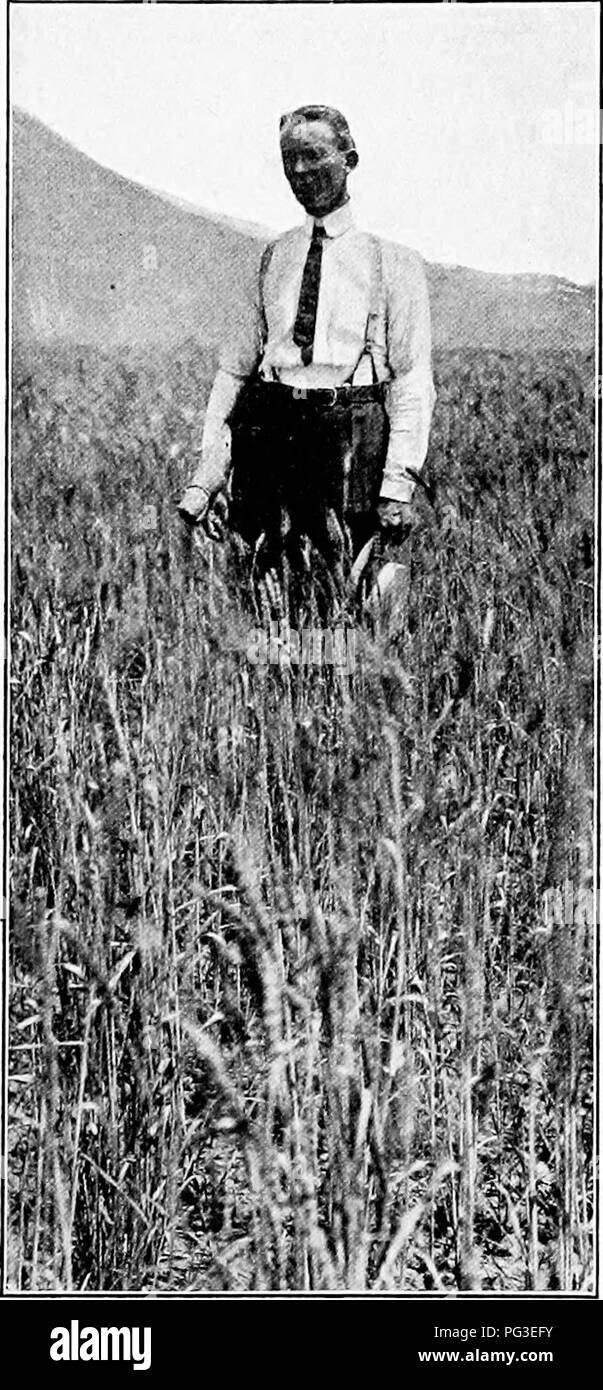 This method of dry-farming, practiced in arid regions with low rainfall ...