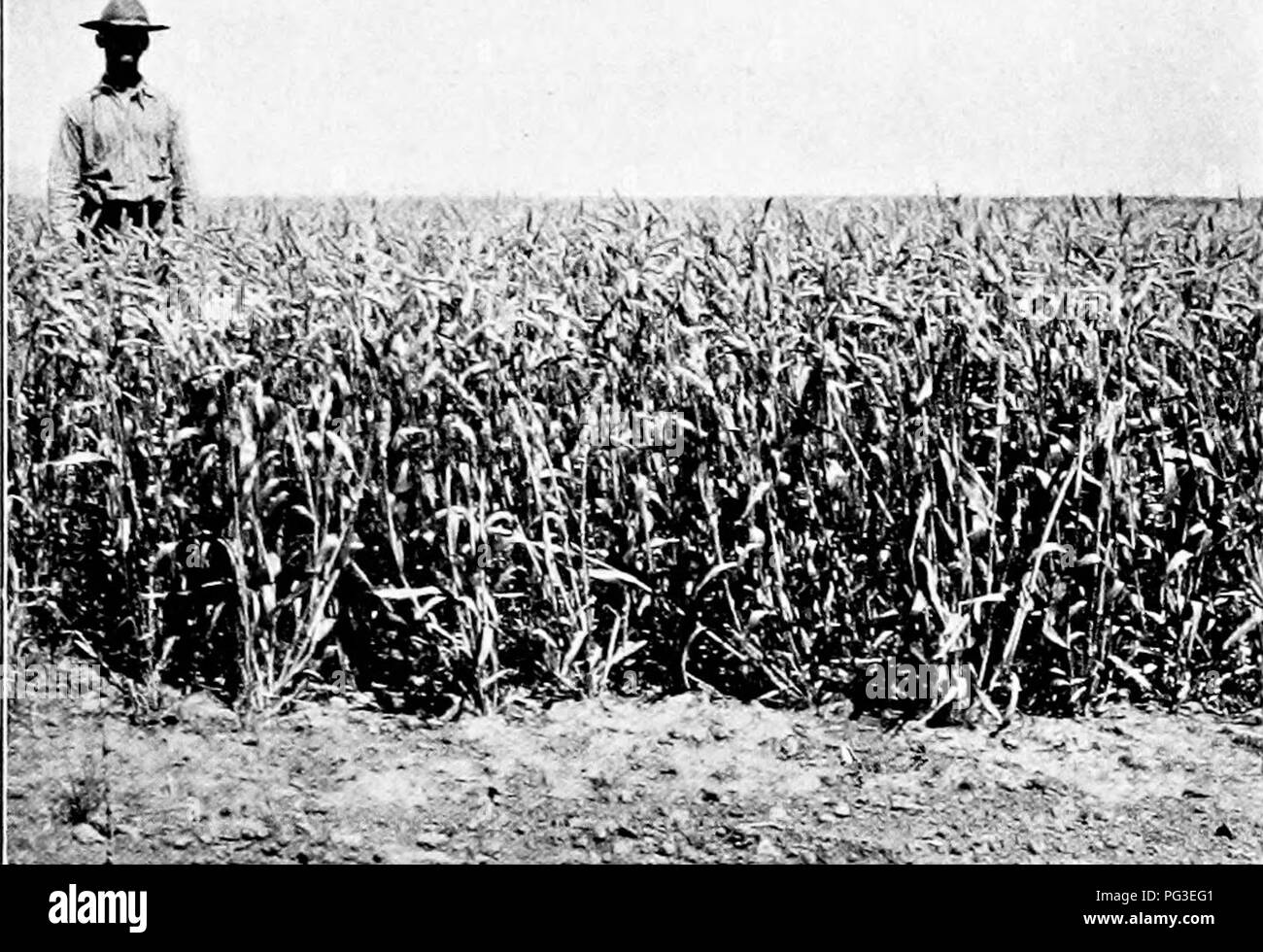Dry-farming techniques focus on agriculture in regions with low ...