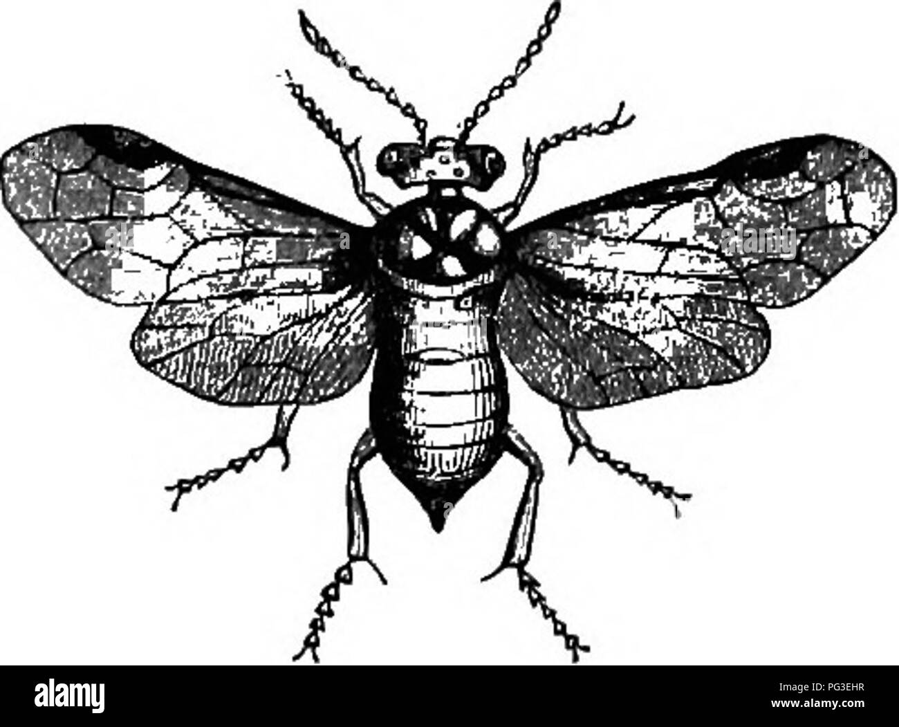 18 feet long Cut Out Stock Images & Pictures - Alamy