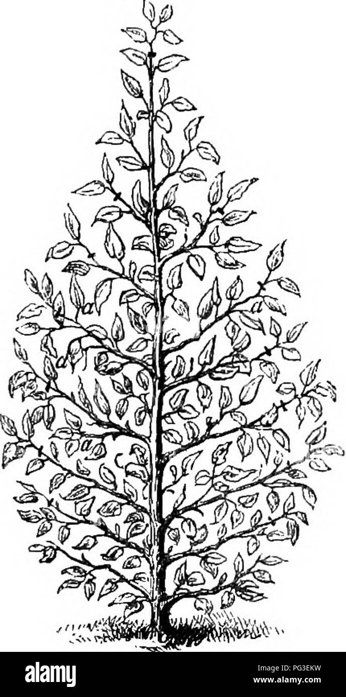 Overcropping Black and White Stock Photos & Images - Alamy