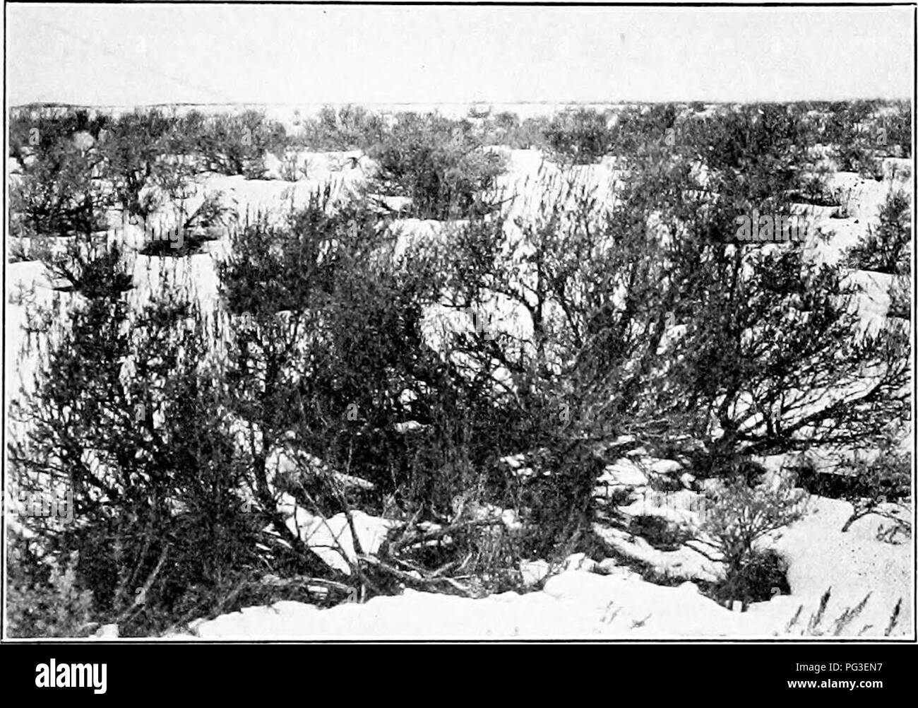 Dry temperate regions Black and White Stock Photos & Images - Alamy