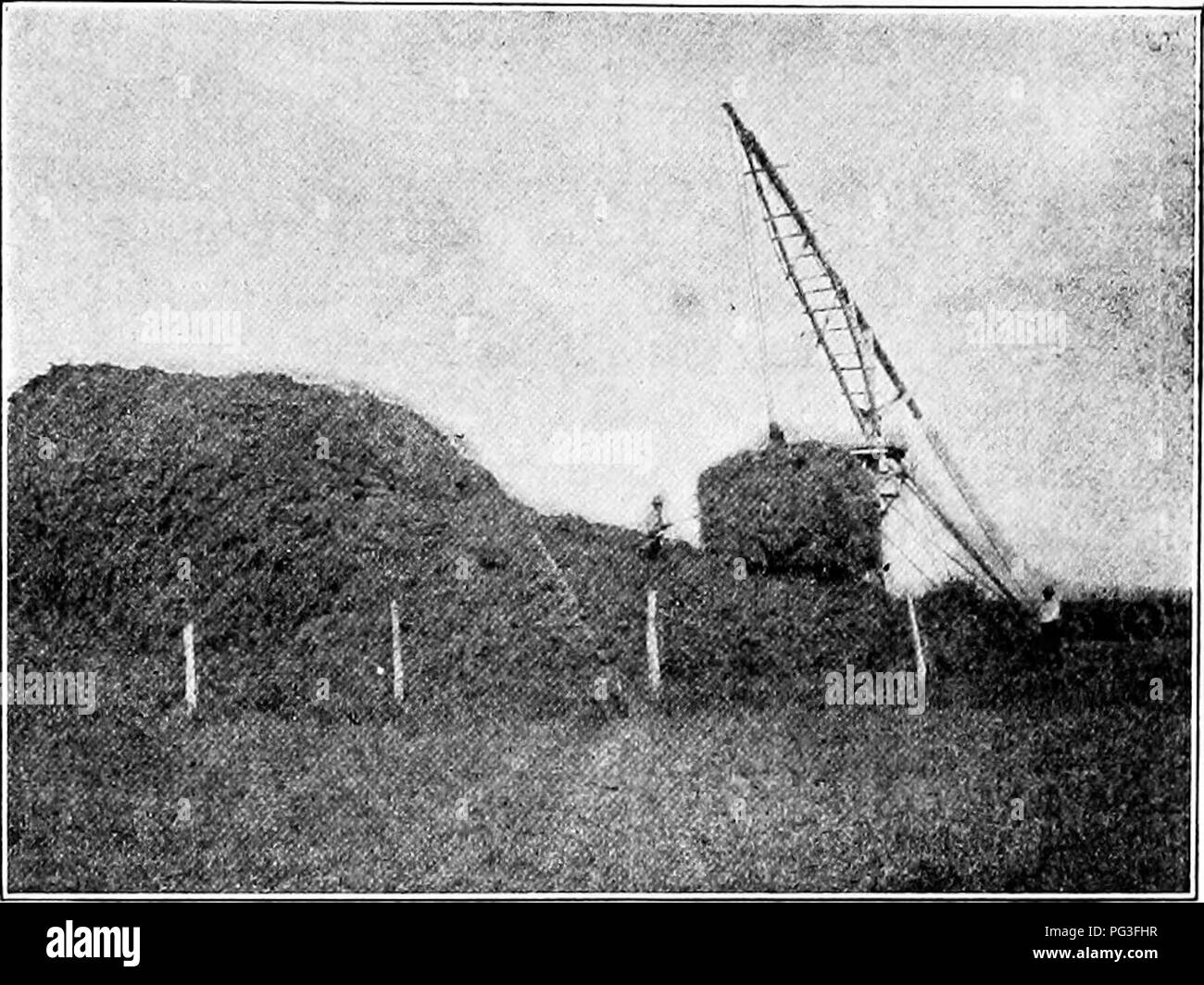 Baling plant Black and White Stock Photos & Images - Alamy