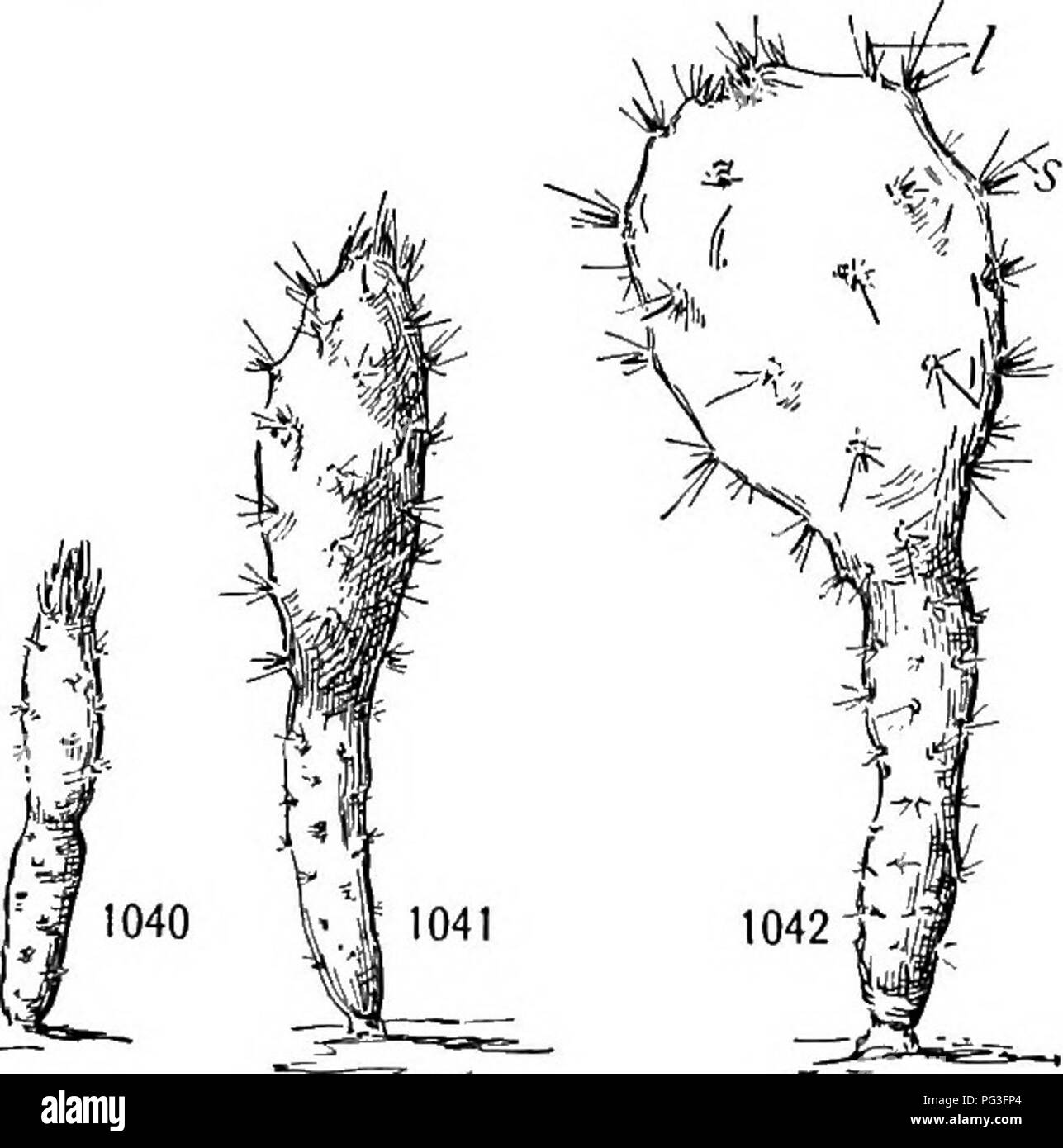 Waste treatment plants Black and White Stock Photos & Images - Alamy