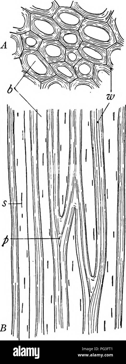 . A textbook of botany for colleges and universities ... Botany. 696 ...