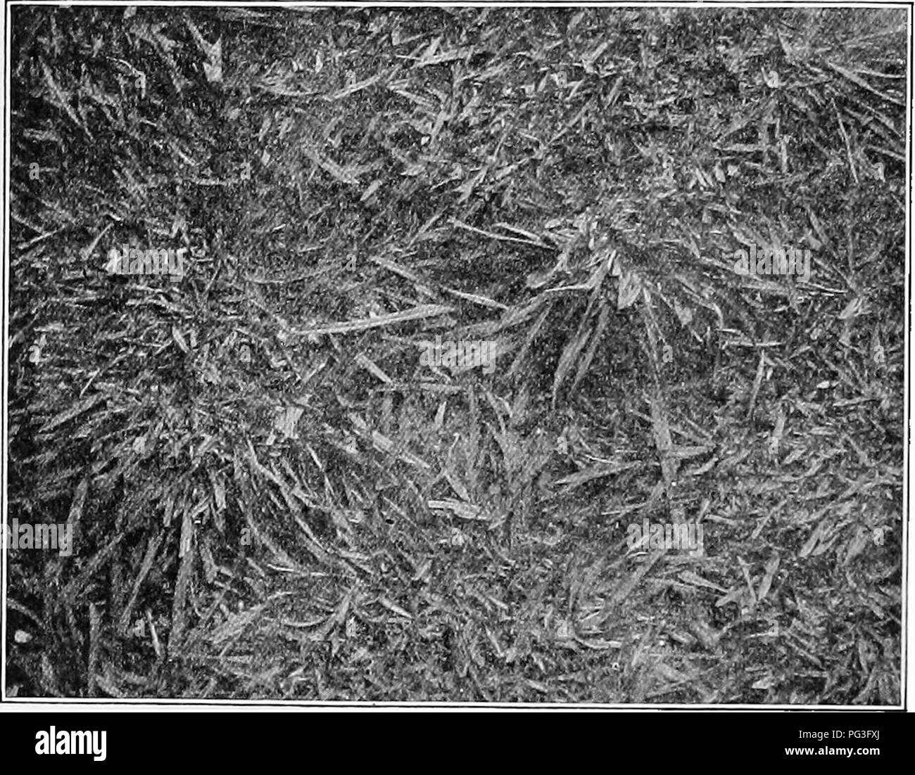 This guide discusses the cultivation and management of farm grasses in ...
