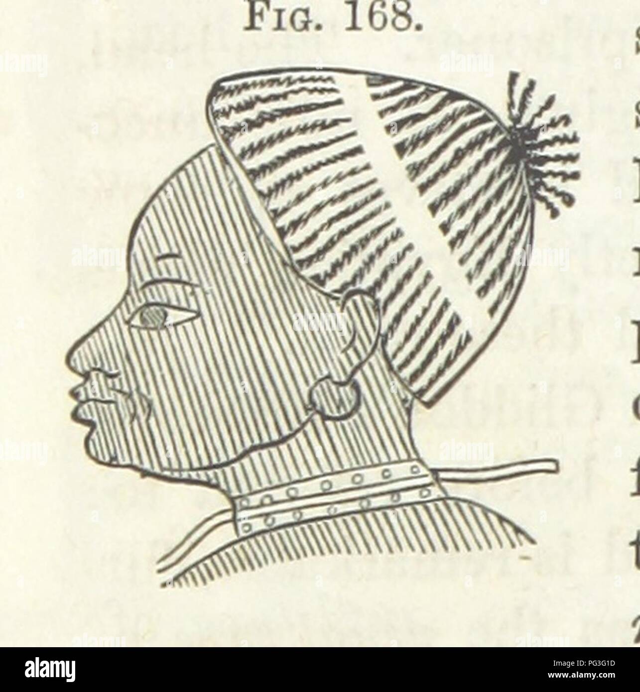 Image from page 300 of '[Types of Mankind or Ethnological Researches ...
