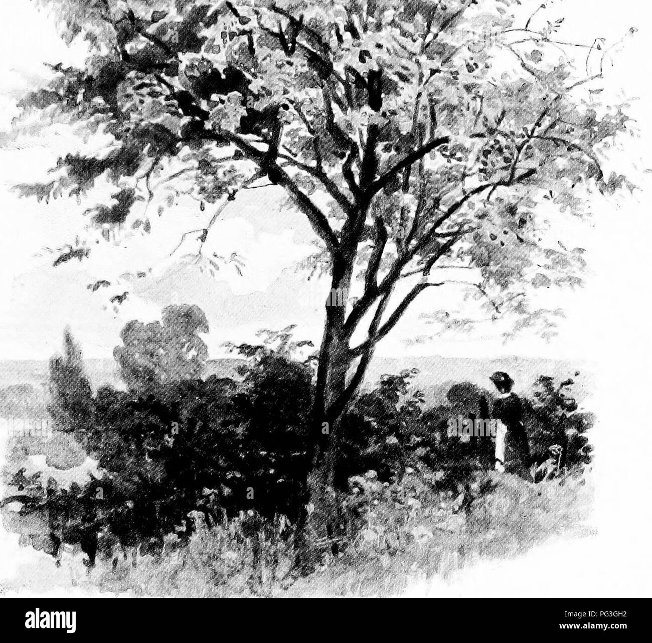 This book provides an introduction to common tree species, including ...