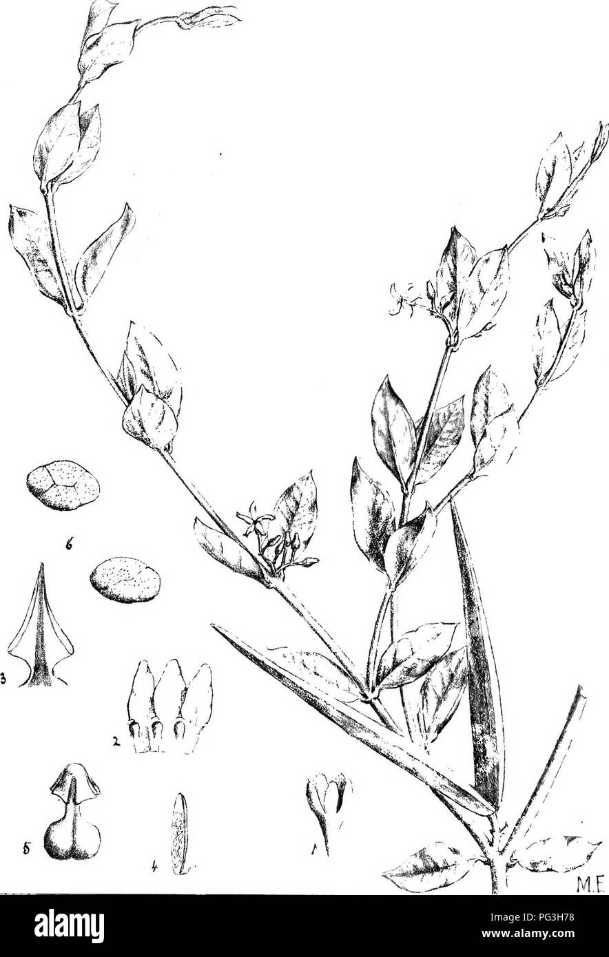 This publication provides detailed descriptions and illustrations of ...