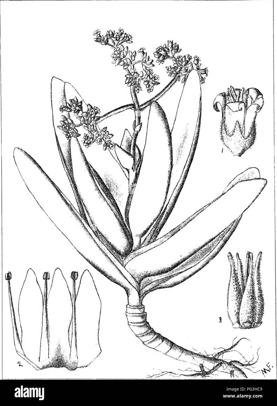 This work provides detailed descriptions and illustrations of ...