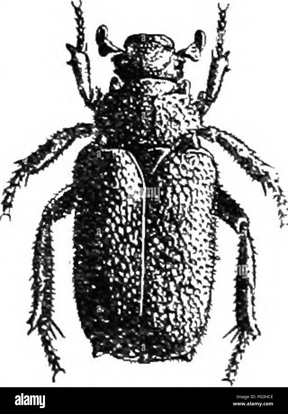 Obtuse angles hi-res stock photography and images - Alamy